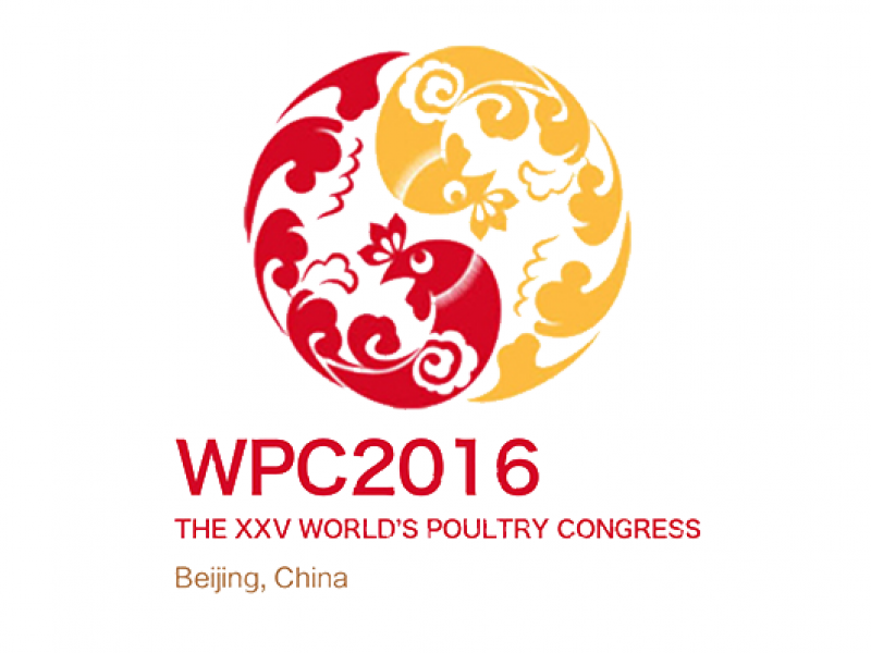 Effect of Gustor N’RGY on Broilers Gut Health - Norel Nutrición Animal