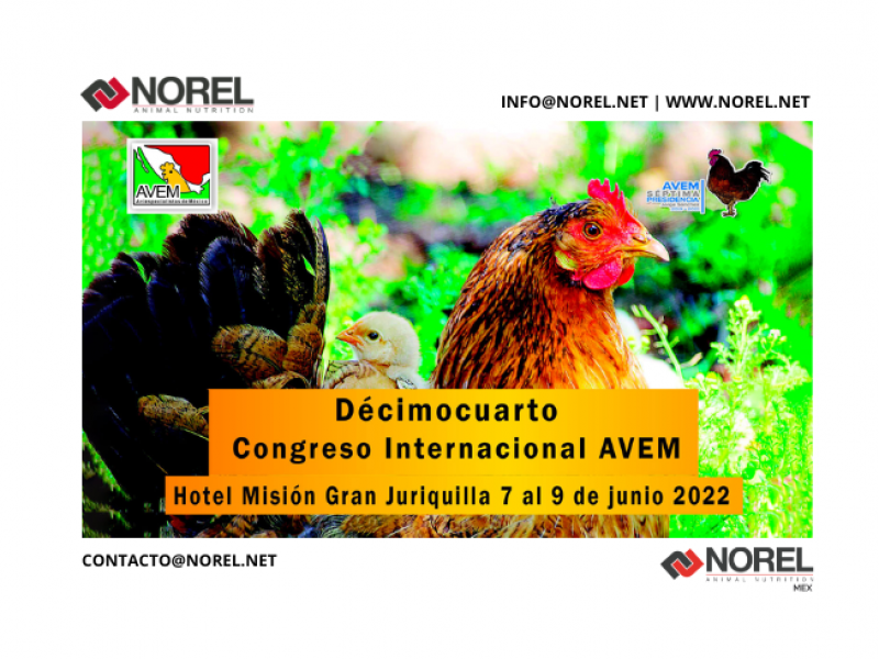 NOREL PRESENTE EN AVEM MÉXICO 2022 - Norel Nutrición Animal