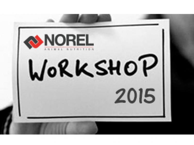 IV Workshop NOREL: Introducción - Norel Nutrición Animal