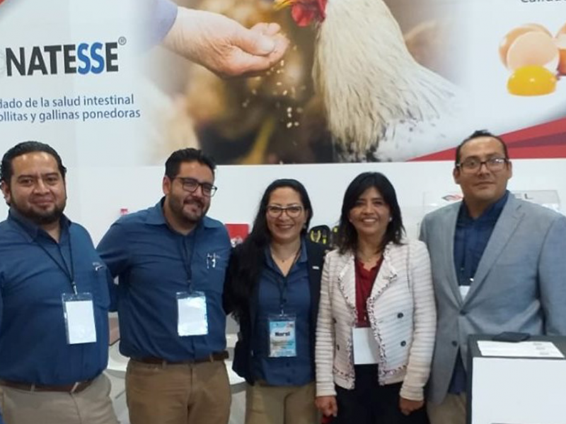 NOREL PRESENT AT AVEM 2020 - Norel Nutrición Animal