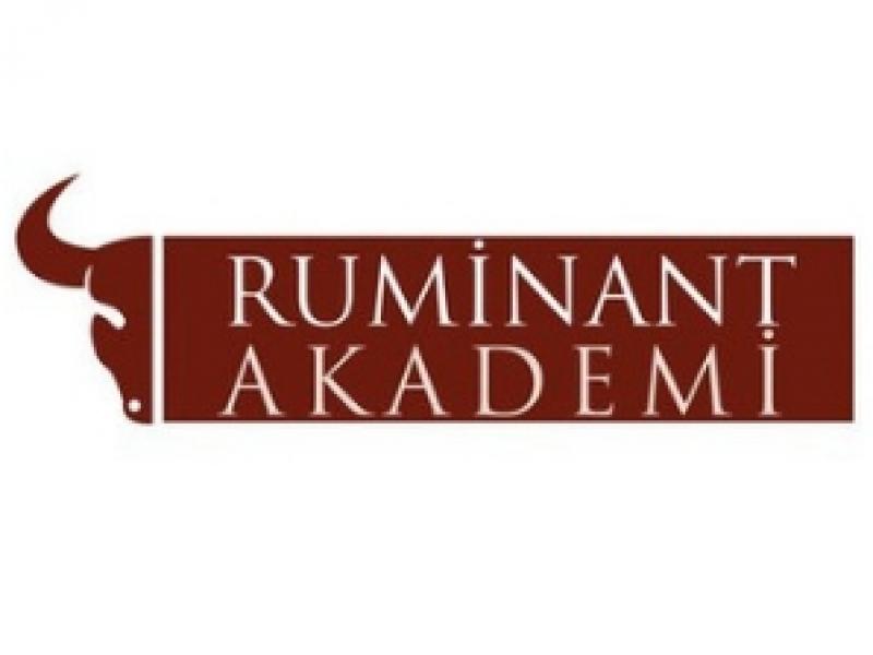 Norel golden sponsor of the 4th RUMINANT ACADEMY in Turkey - Norel ...