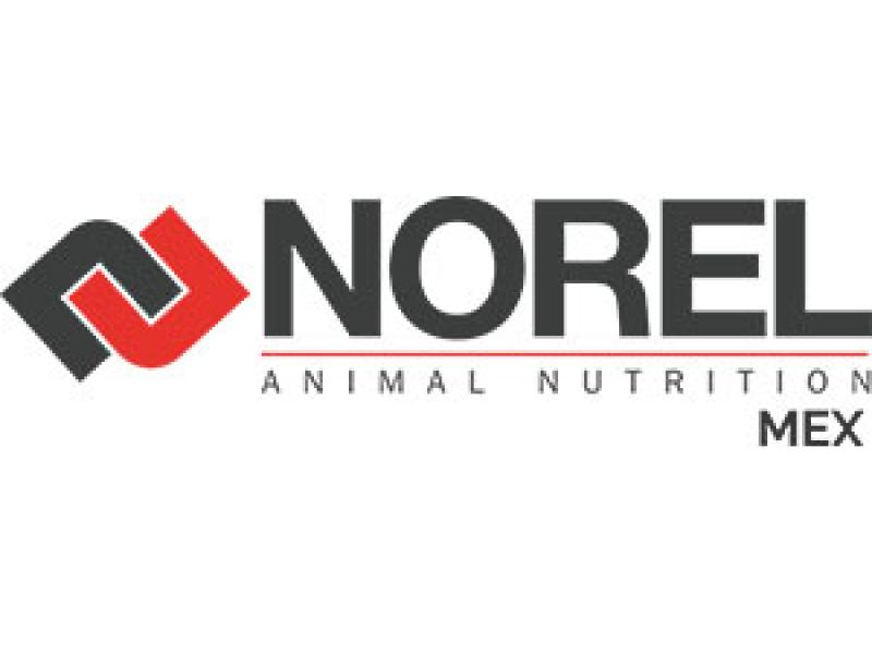 Norel México, una historia de éxito - Norel Nutrición Animal