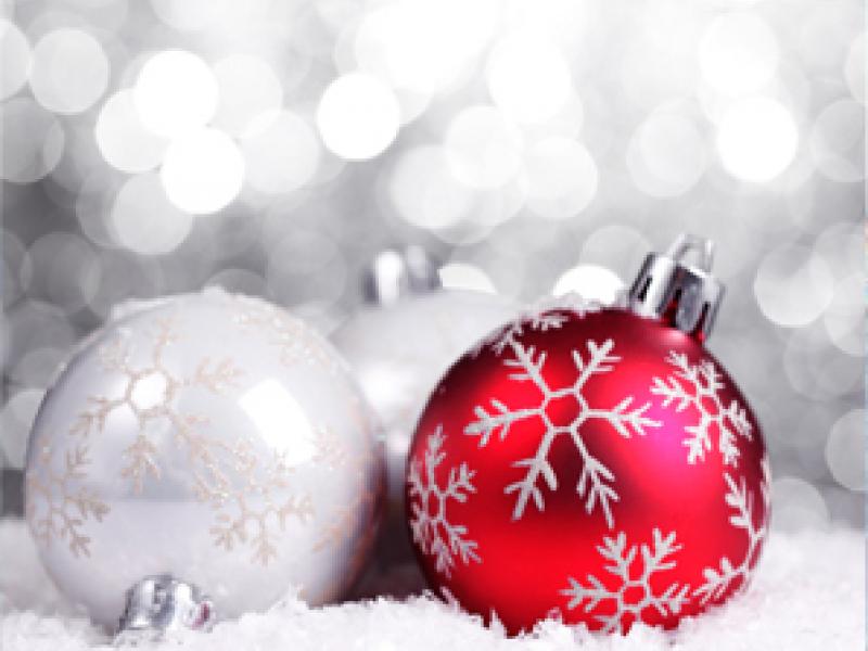 2015, 35 años de dedicación a la Nutrición Animal - Norel Nutrición Animal