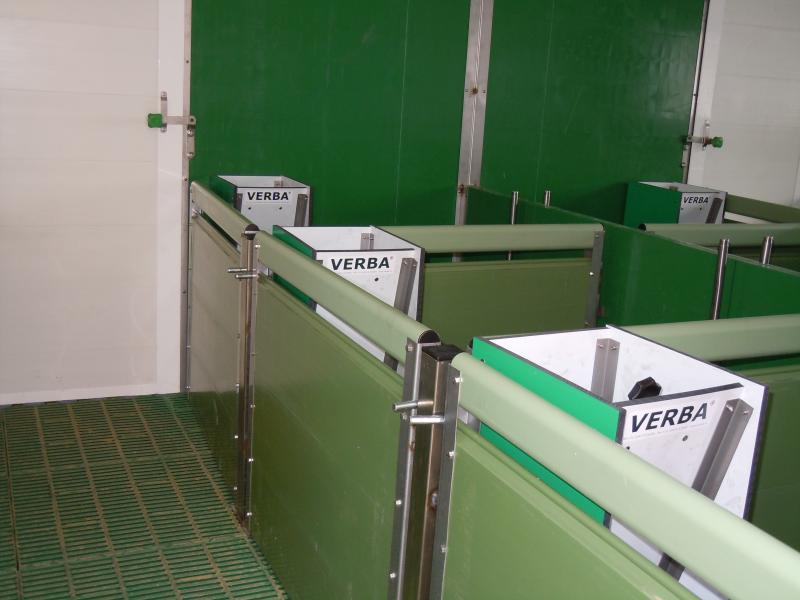 NOREL builds new piglet facility in the experimental farm - Norel ...