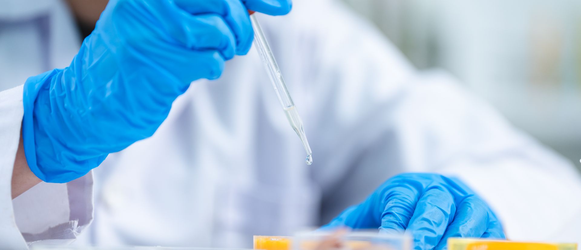 Feed Improvers - Norel Nutrición Animal