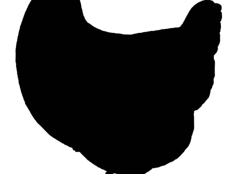 Nepal Hatchery Association and Nepal Feed Industries AGM - Norel ...