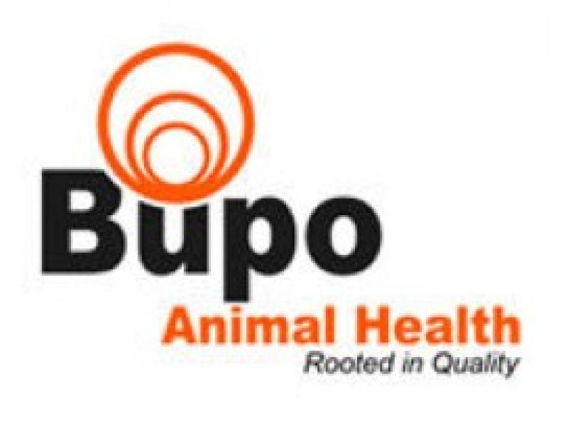 NOREL nombra un nuevo distribuidor en Sudáfrica - Norel Nutrición Animal