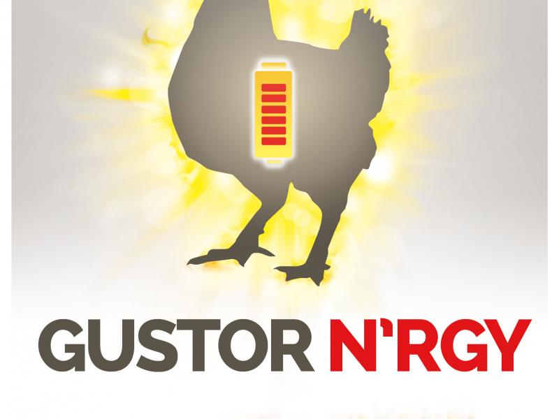 GUSTOR N’RGY a new source of protected sodium butyrate - Norel ...