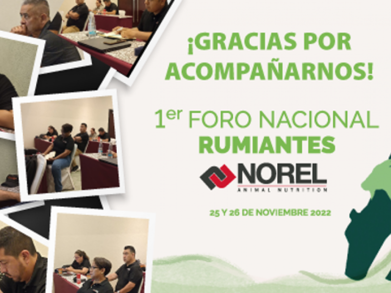 1ST RUMINANTS FORUM HELD BY NOREL IN MEXICO - Norel Nutrición Animal