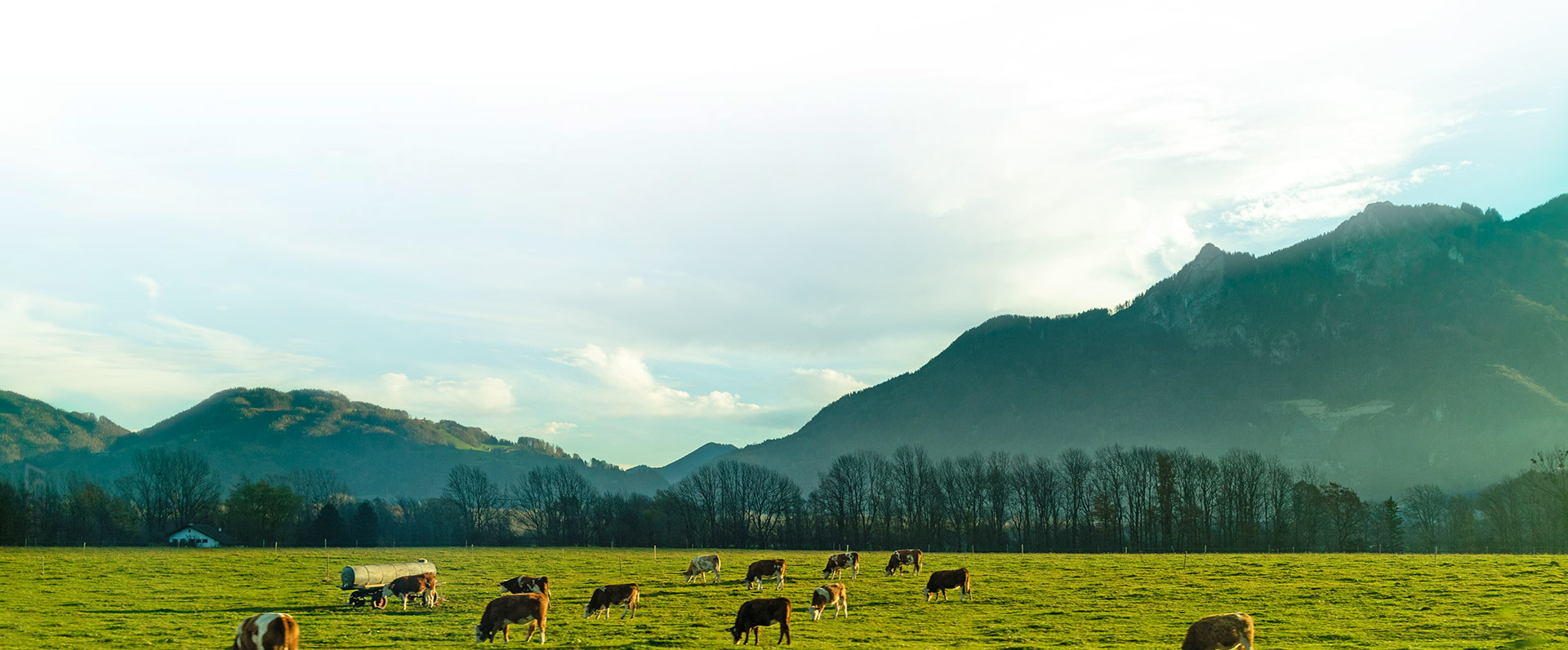 Company - Norel Nutrición Animal