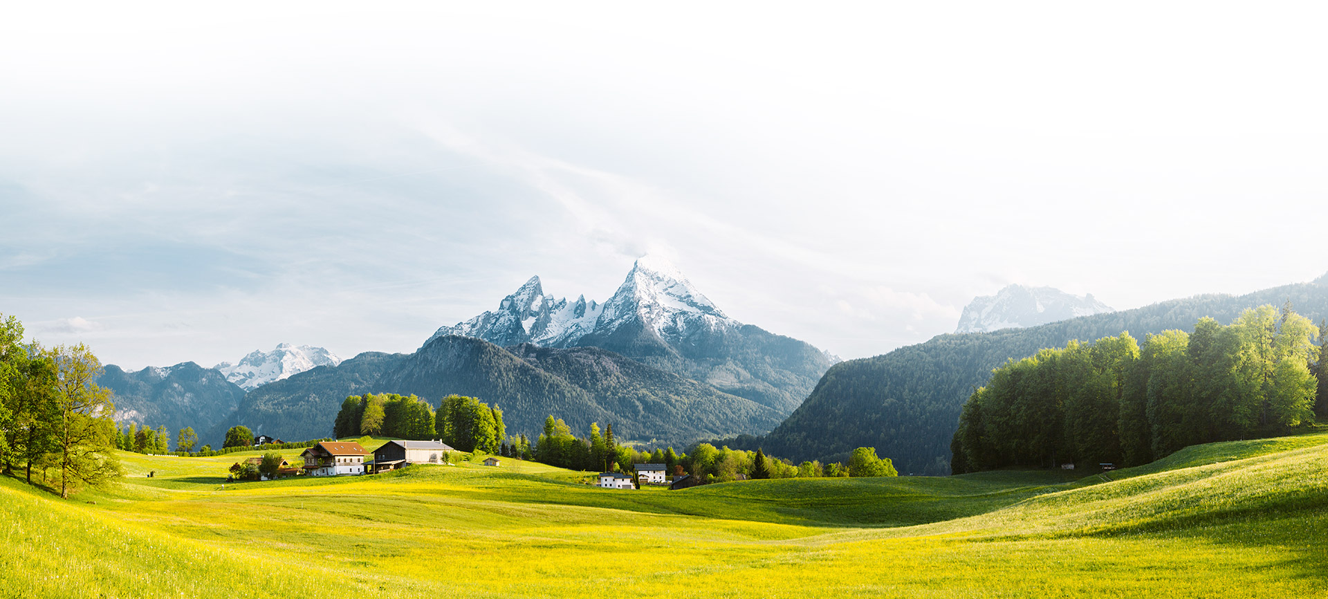 CSR - Norel Nutrición Animal