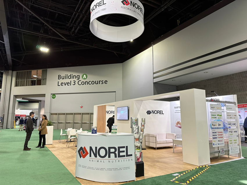 NOREL PARTICIPA EN LA IPPE 2024 - Norel Nutrición Animal