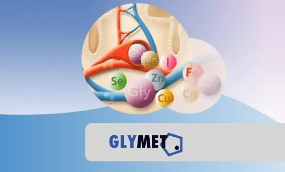 La suplementación con Minerales Traza Orgánicos en la mejora de la productividad y el estado de ...