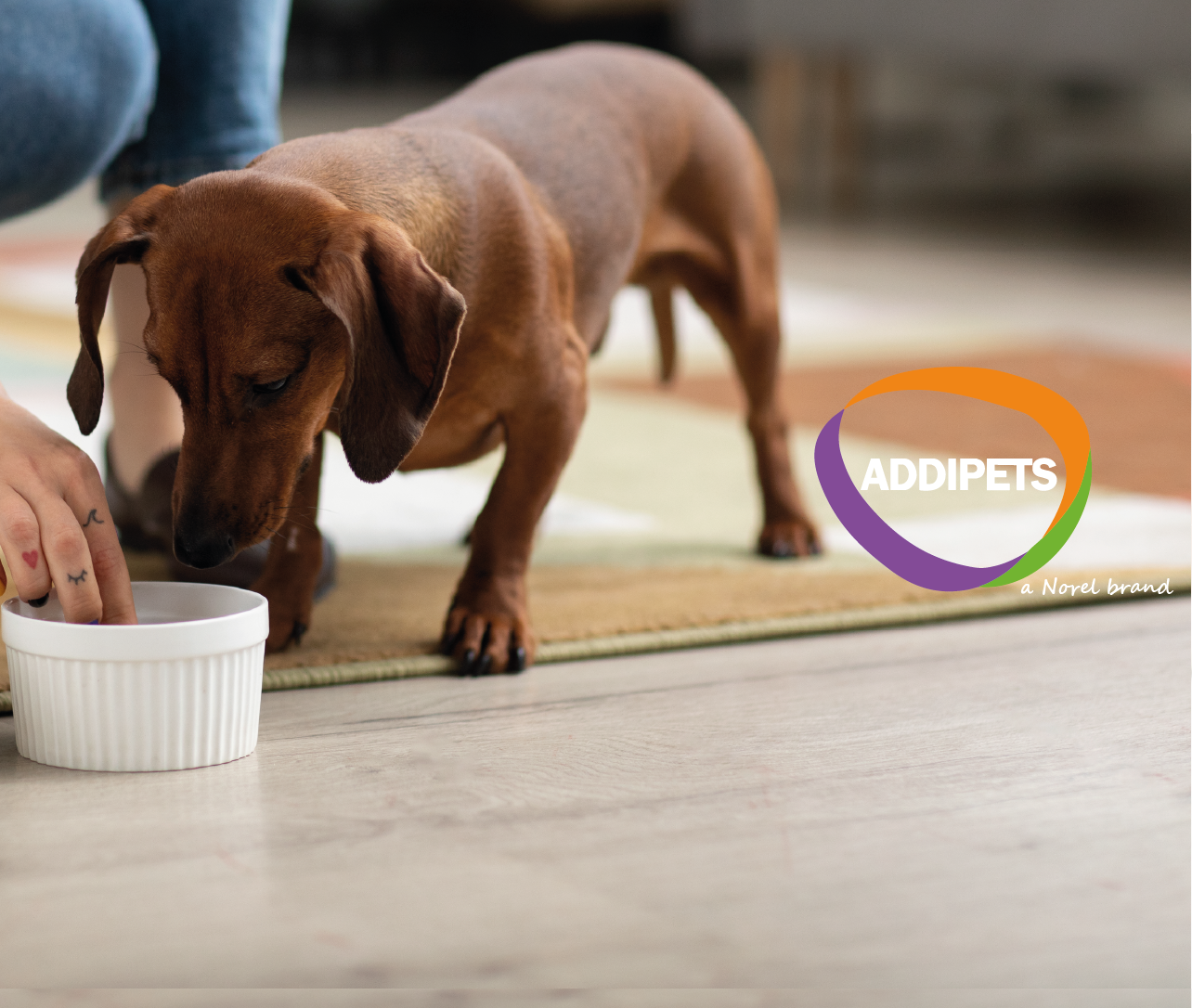 ADDIPETS - Norel Nutrición Animal